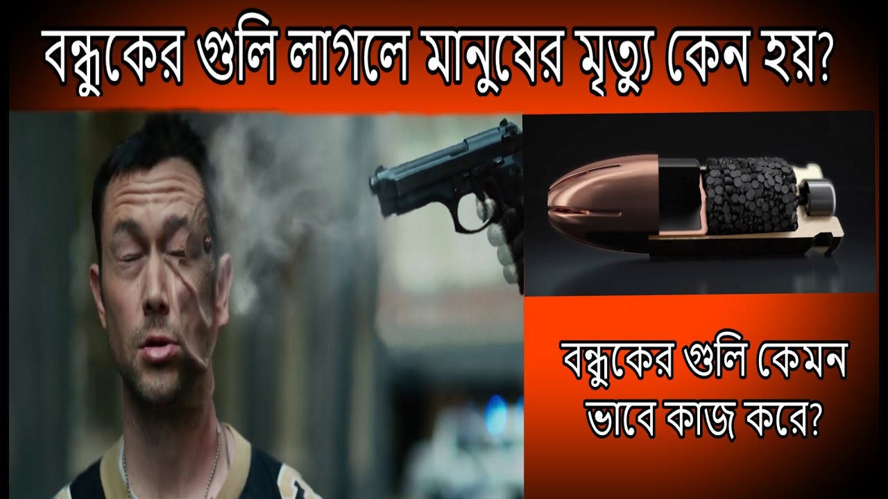 how do bullet work in real life ( বাংলা ) | how gun work - YouTube