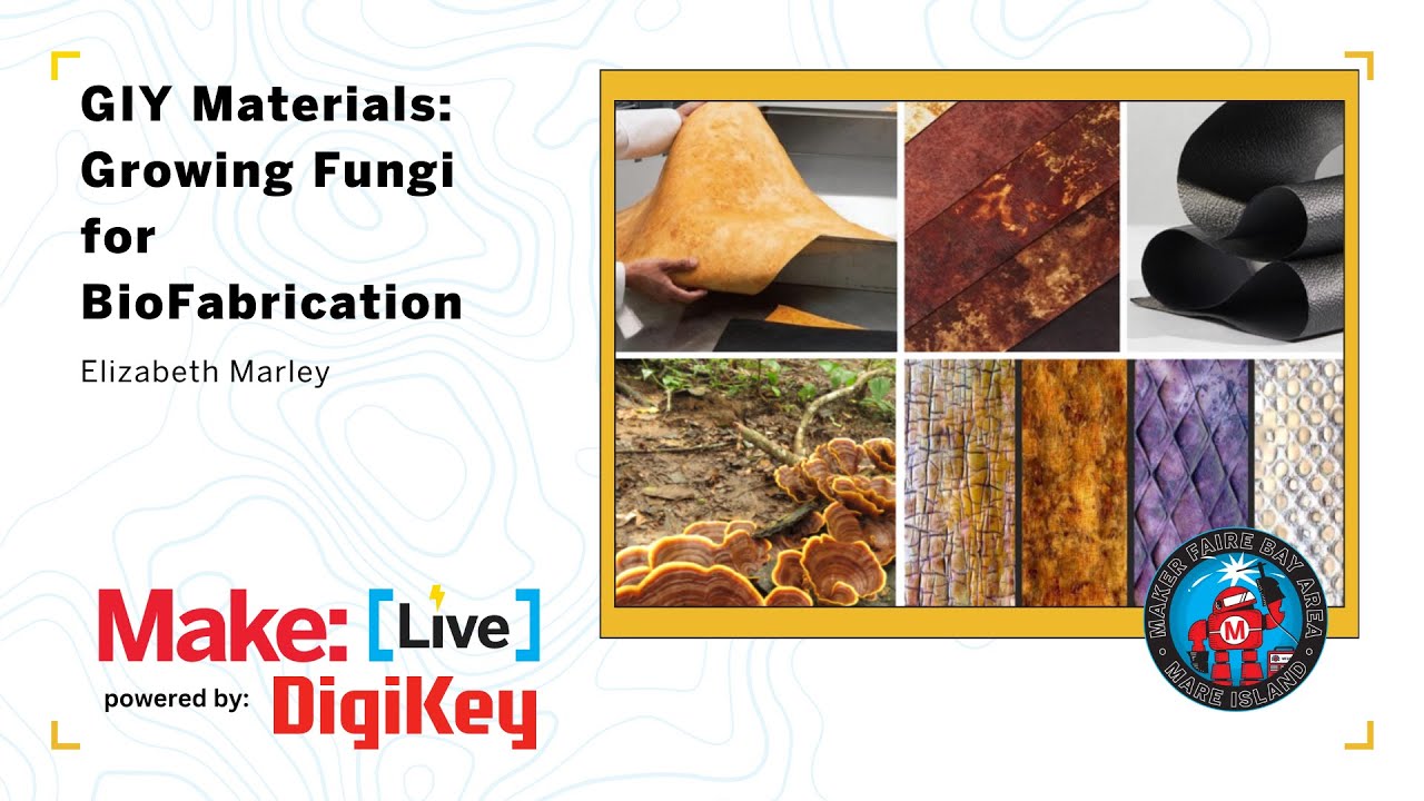 GIY Materials: Growing Fungi for BioFabrication - Elizabeth Marley ...