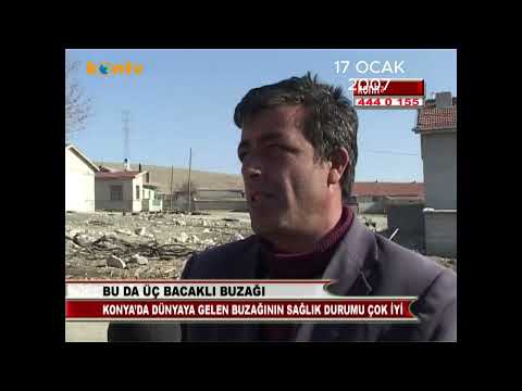 3 BACAKLI BUZAGI - 2007
