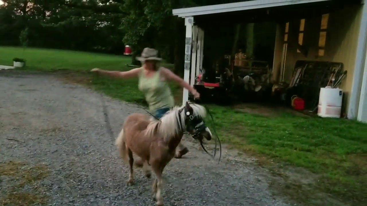 Huckleberry and Jackpot Judy - YouTube