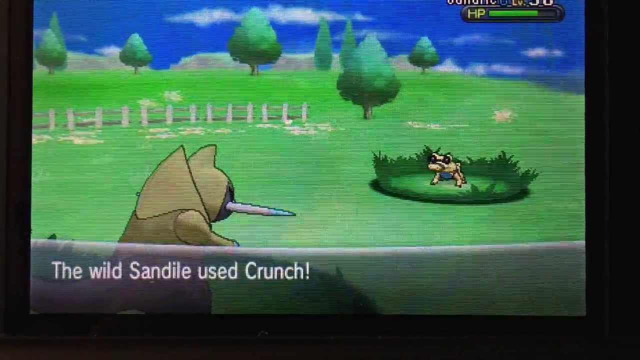 Shiny Sandile (+Critical Capture) - YouTube