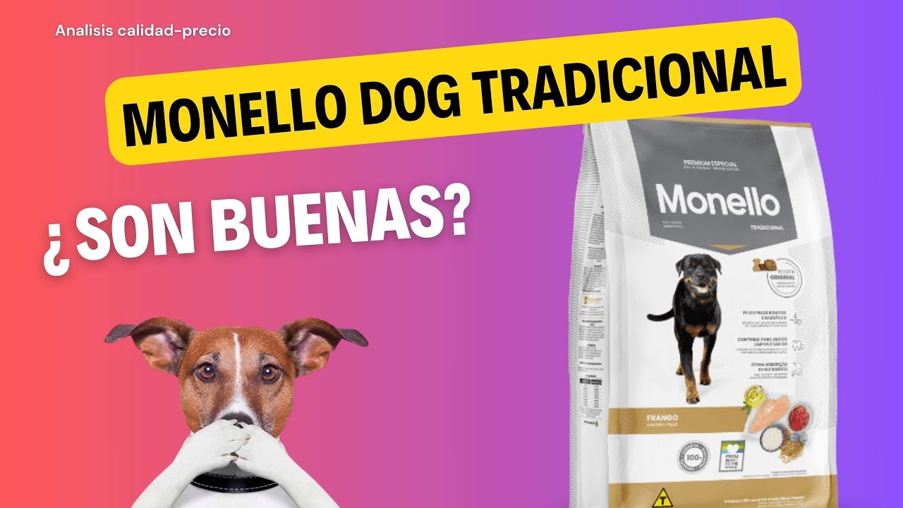 Monello dog tradicional - YouTube