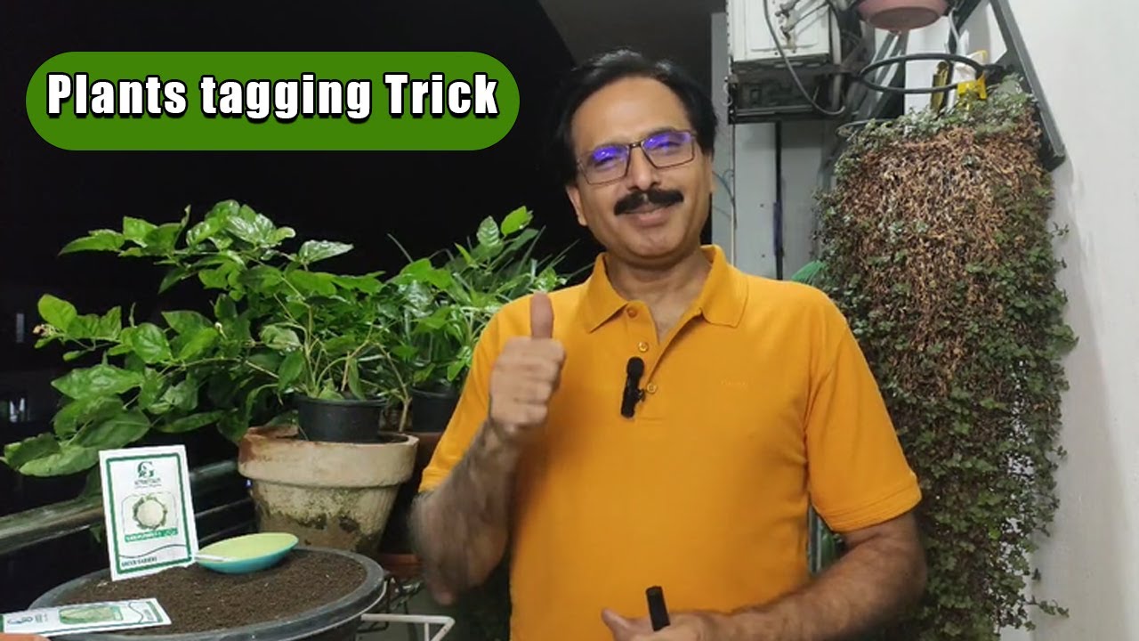 Plants tagging Trick || Gardening With Javed Iqbal - YouTube