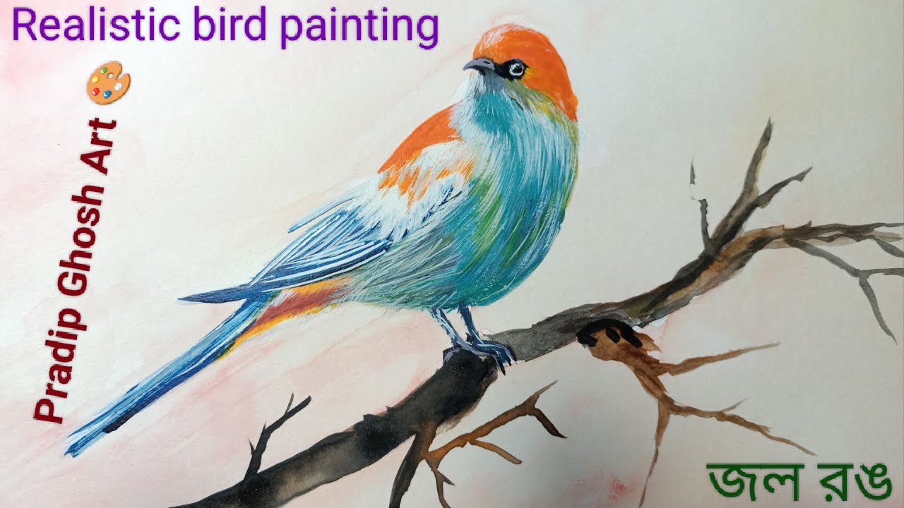 How to draw a bird| Realistic bird painting| water colour paintings ...