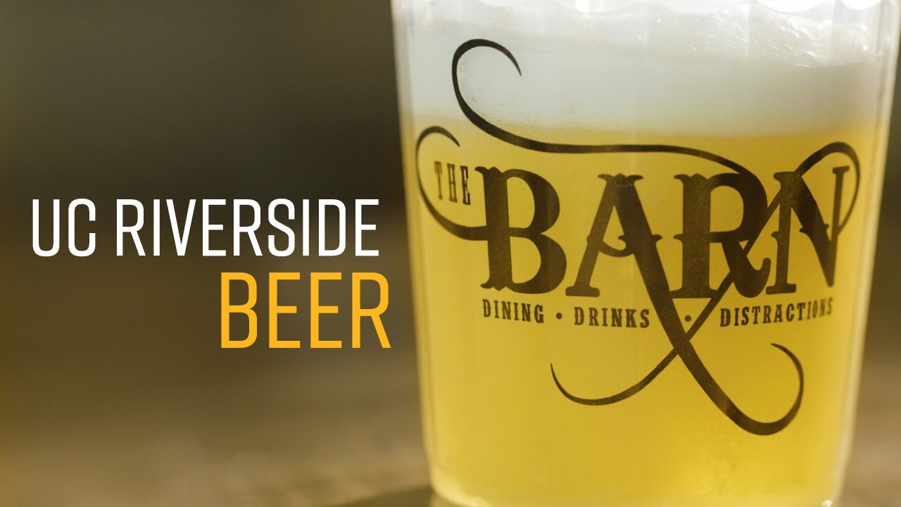 UC Riverside citrus becomes a refreshing new beer - YouTube