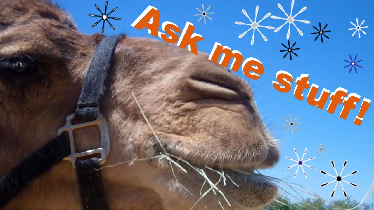 Ask me stuff! Answers on video Sunday, May 6th - YouTube
