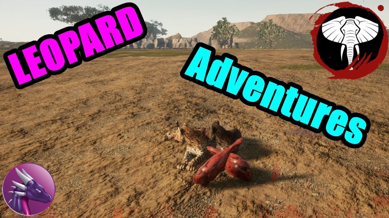 The Life Of A Leopard | Animalia Survival - YouTube