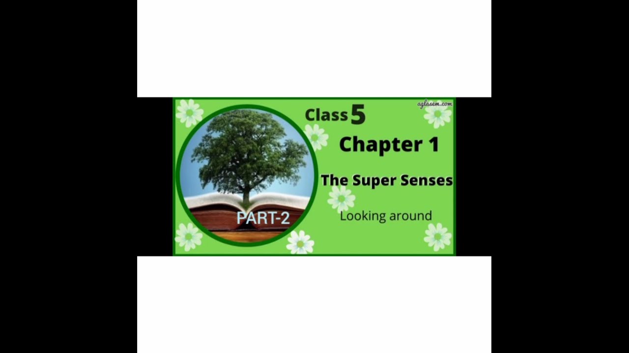 Class 5 EVS Chapter 1 Super Senses (part-2) - YouTube