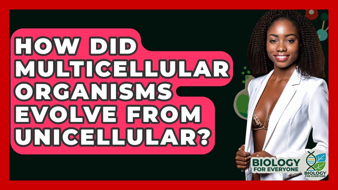 How Did Multicellular Organisms Evolve From Unicellular? - Biology For ...