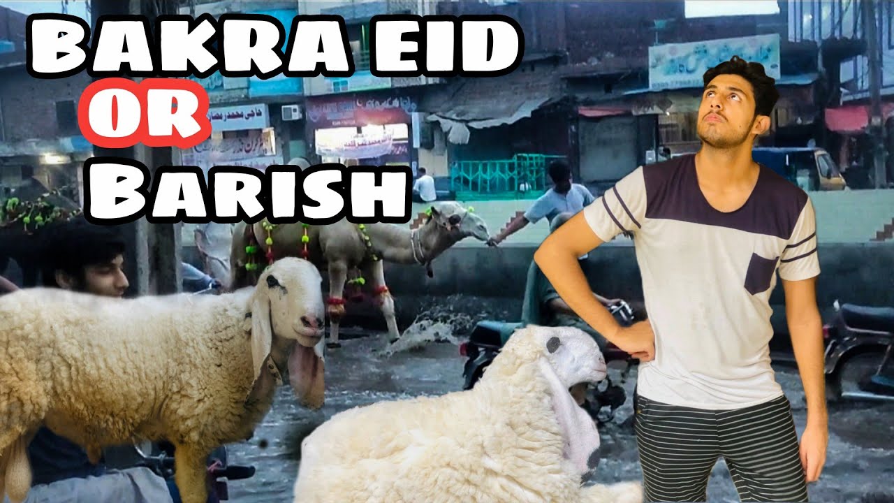 Bakra Eid ki tyari or Barish 🙄 | Vlog # 4 | Ahmad Vines - YouTube