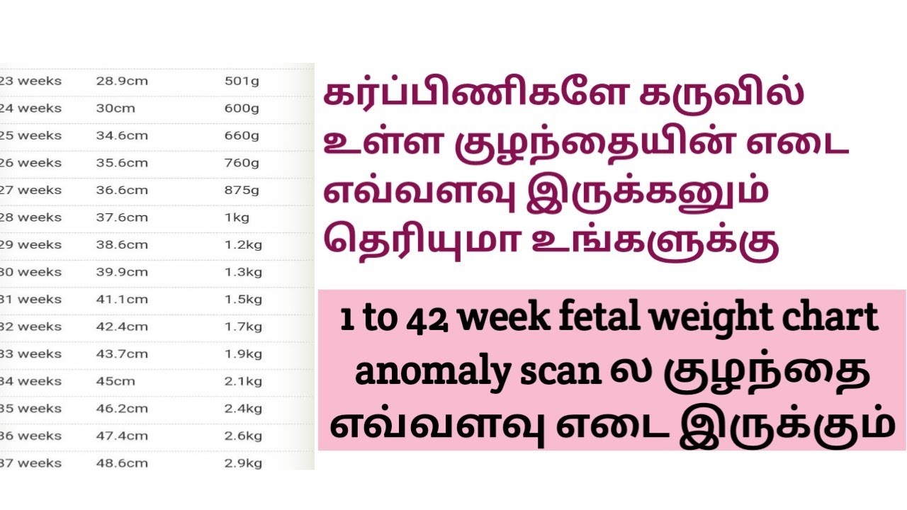 Baby weight chart 1 to 42 week pregnancy கருவில் உள்ள குழந்தை எடை ...