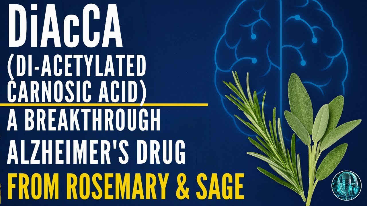 DiAcCA (Di-Acetylated Carnosic Acid): A Breakthrough Alzheimer's Drug ...