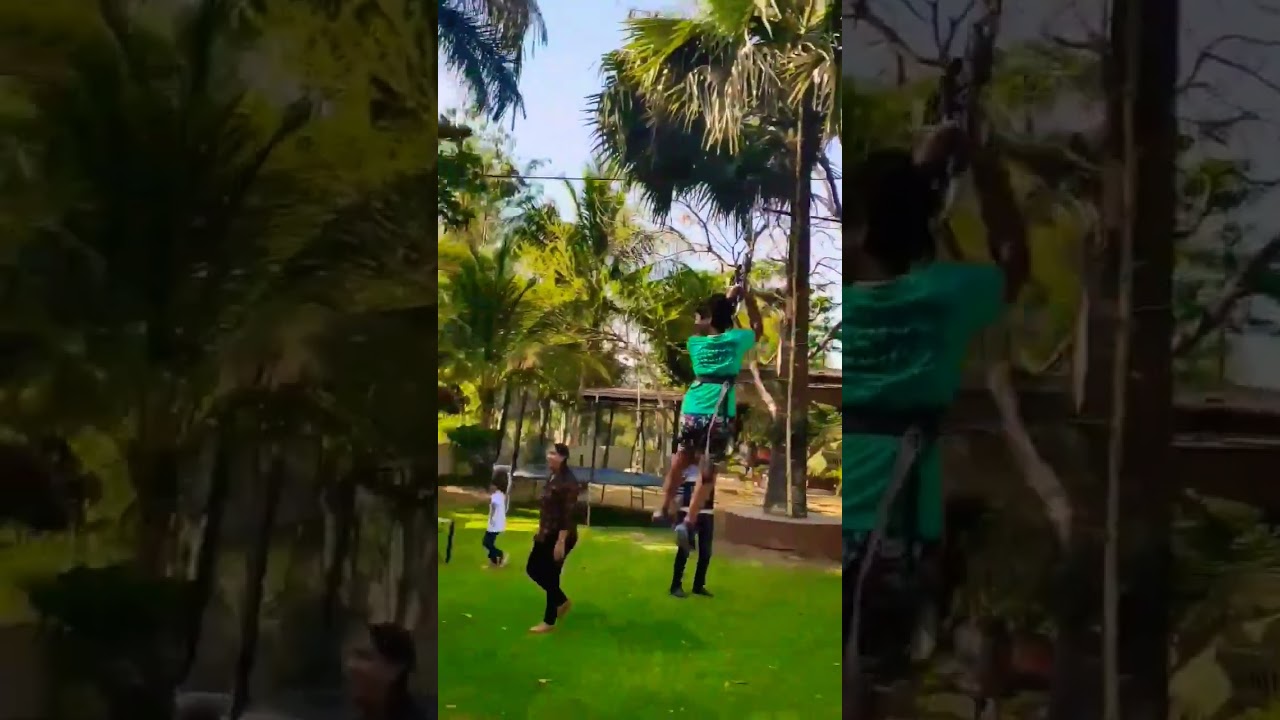 Flying Fox game #flyingfox #game #entertainment - YouTube