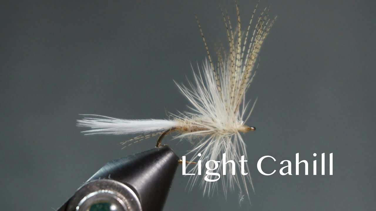 Light Cahill - YouTube