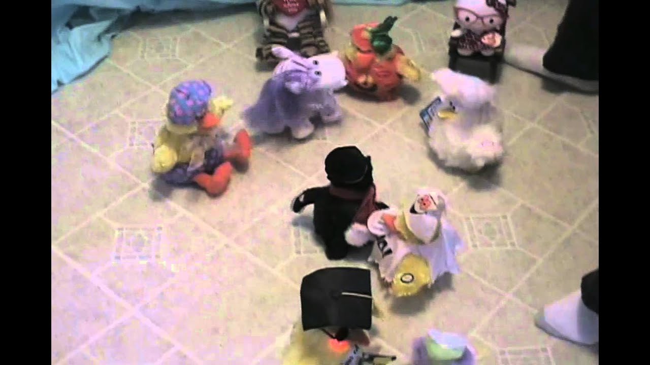 Kat'z Pardee Animalzz - YouTube