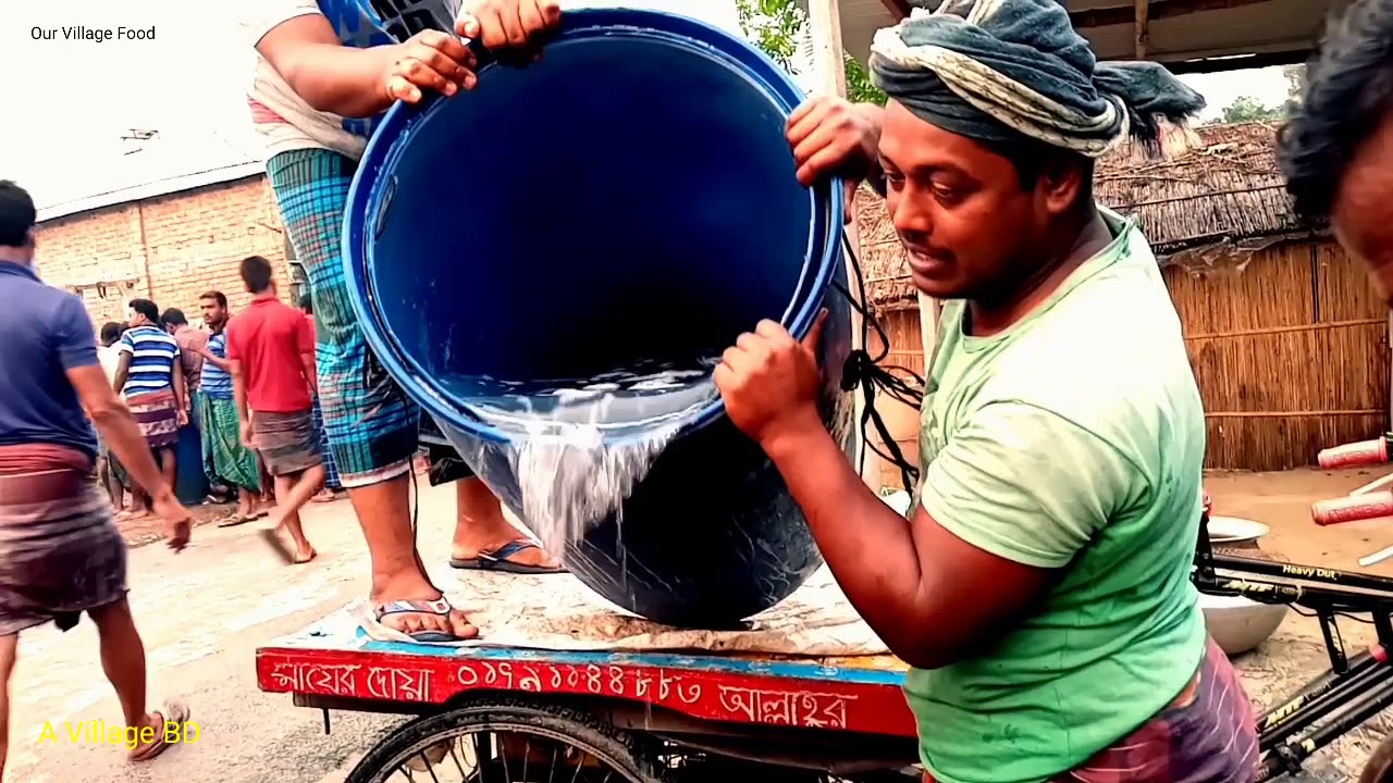 See how Gulsa Best fish is sold in the yard / 01 kg at 40pic - YouTube