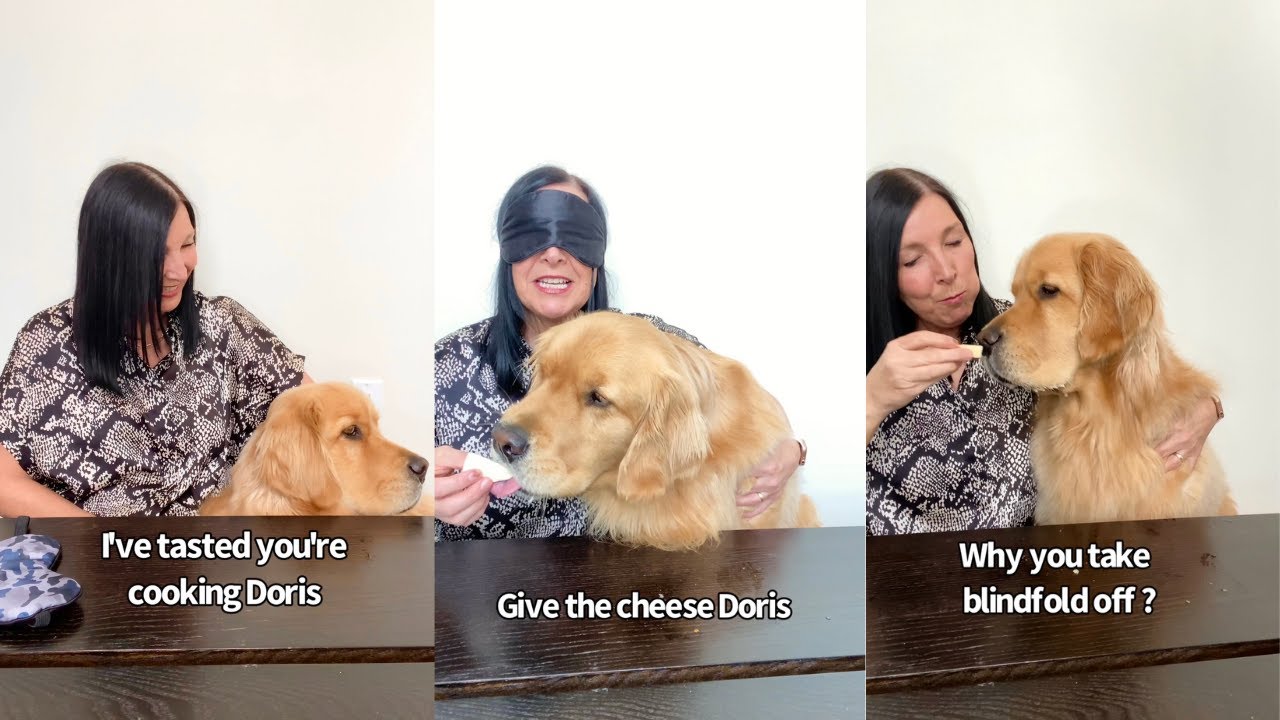 Doing A Blind Taste Test With My Dog - YouTube