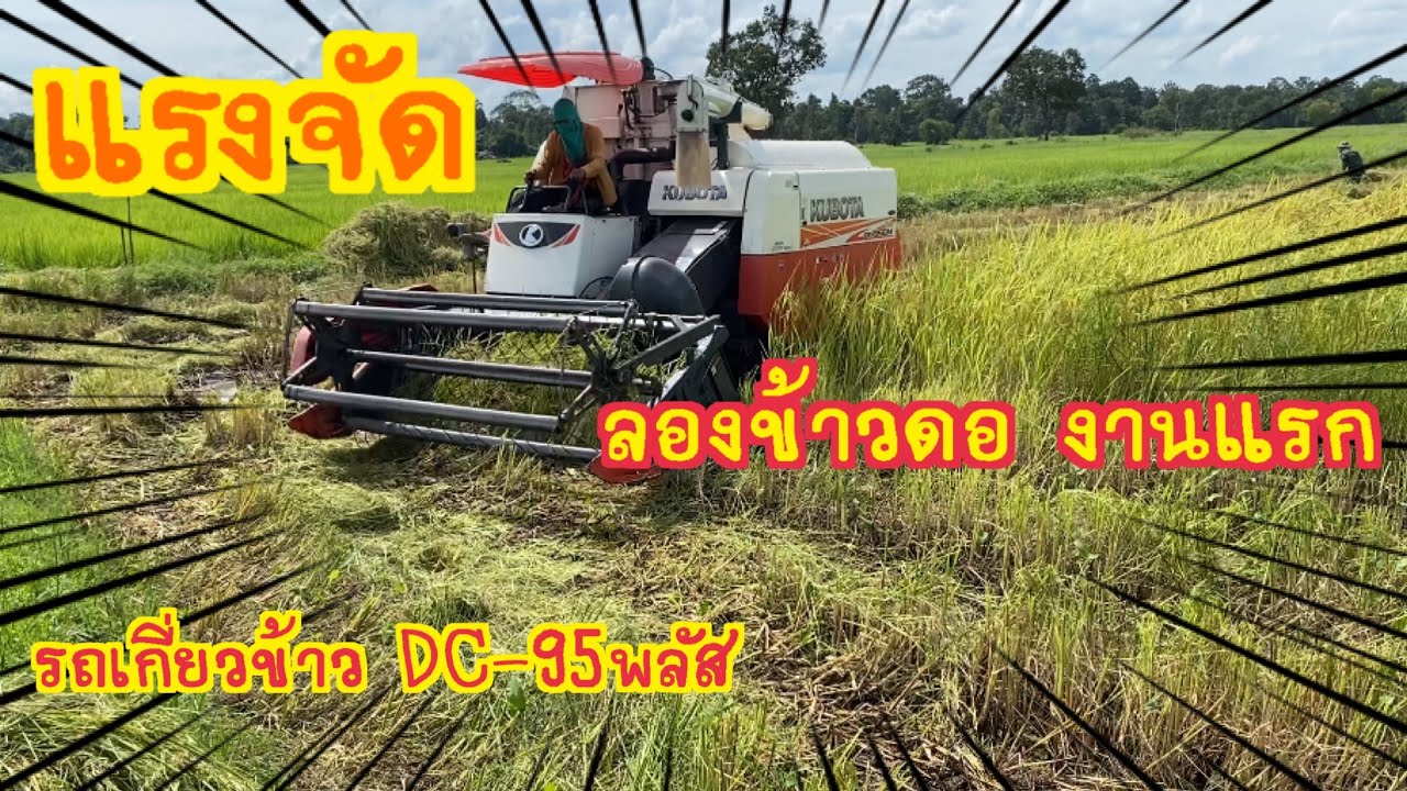 รถเกี่ยว DC-95 พลัส ลองข้าวดอ งานแรก วิ่งสบาย หลังจากปรับแต่งมาเป็น ...