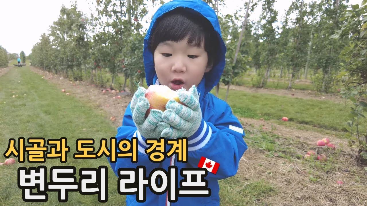 우리가 한국을 떠나 이 곳에 사는 이유 - 사과농장편ㅣ한번쯤은 고민해본 외국에서의 삶은 과연 어떨까?ㅣ자연을 벗삼아 아이 키우며 ...