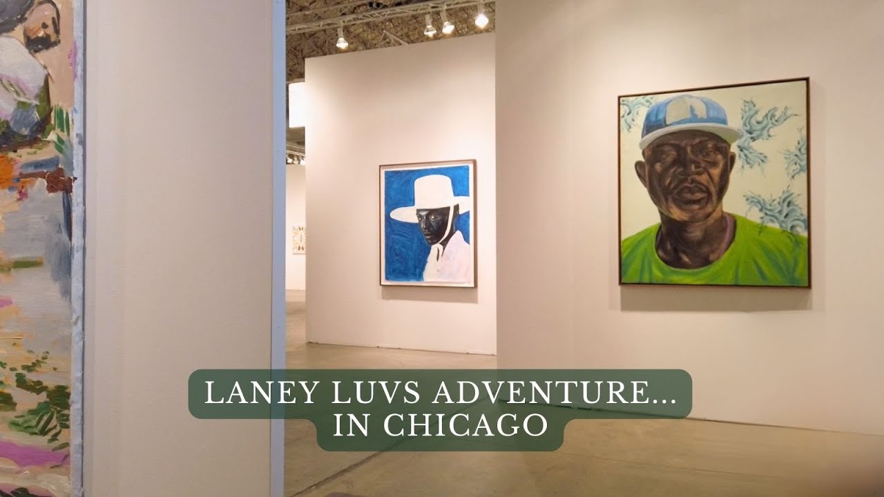 My 48H trip to Chicago & this happened! | Laney Luvs Adventure | Solo ...