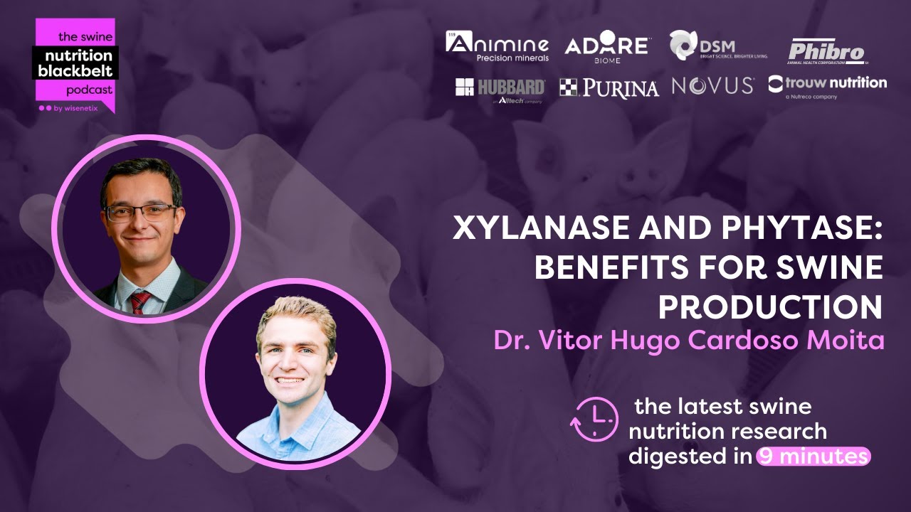 Dr. Vitor Hugo Cardoso Moita: Xylanase and Phytase Benefits | Ep. 61 ...