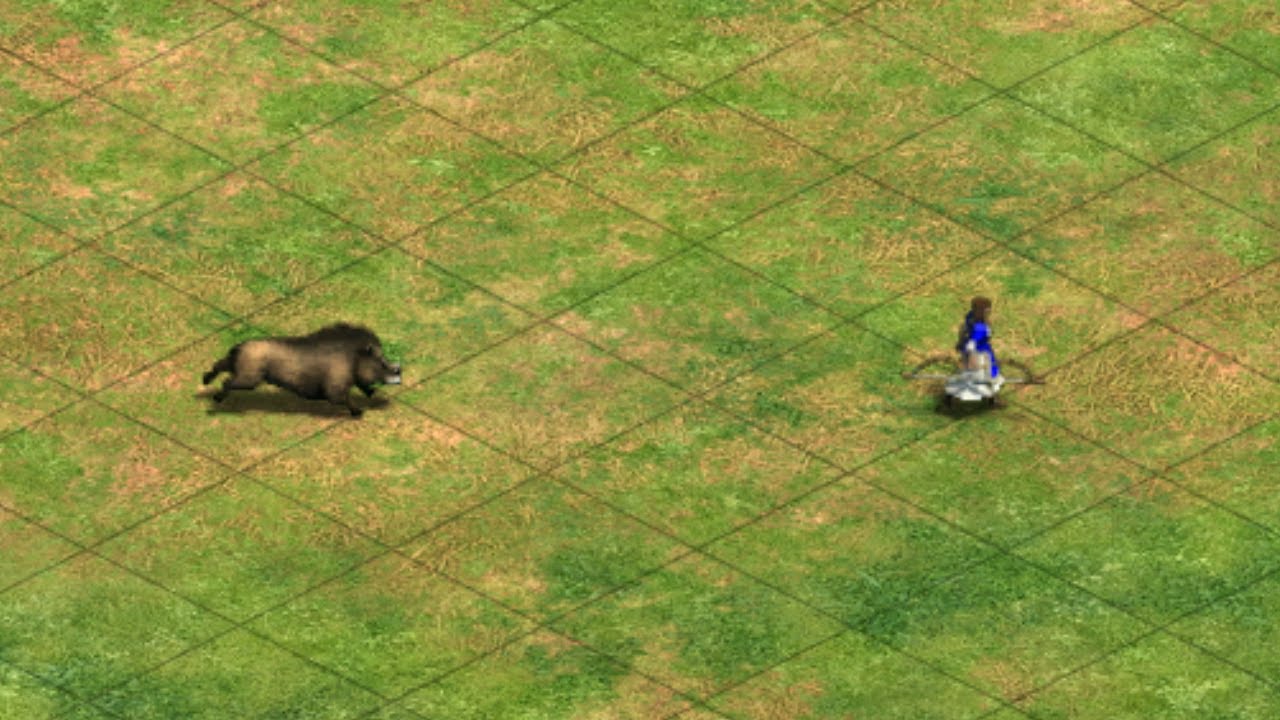 AoE2 Boar Luring Stereotypes - YouTube
