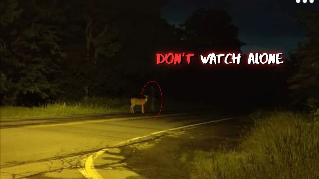 10+ Mythical Creatures Caught on Camera - YouTube
