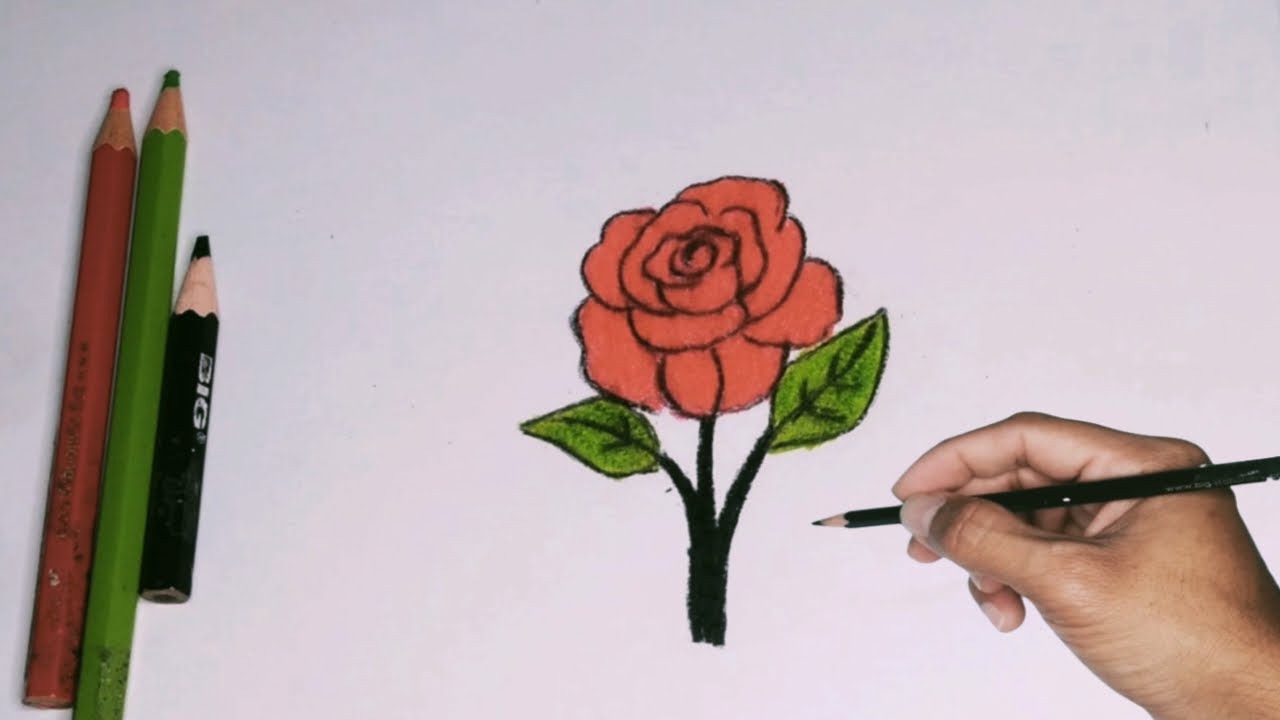 Menggambar dan mewarnai bunga mawar (part 3) | cara mudah menggambar ...