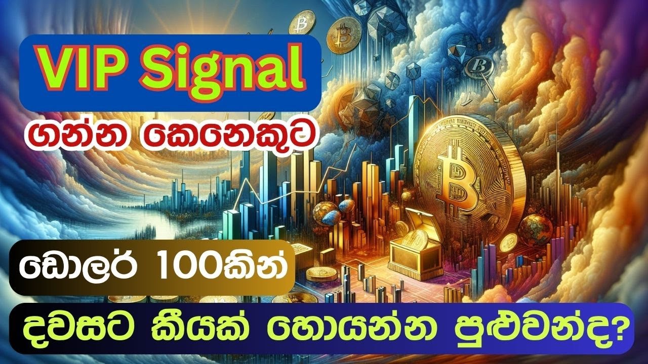 VIP Signal ගන්න කෙනකුට 100$කින් දවසට කීයක් හොයන්න පුළුවන්ද? - YouTube