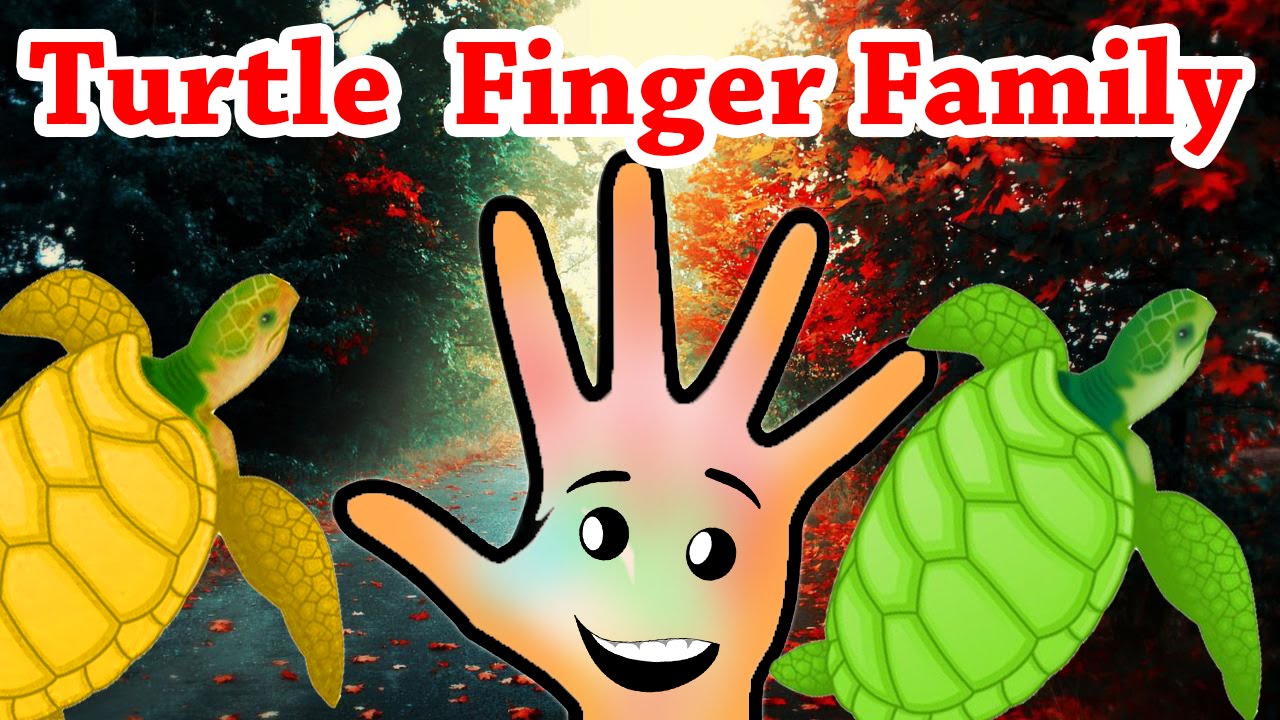 Turtles Cartoon Finger Family Nursery Rhyme For Kids | Cartoon Rhymes ...