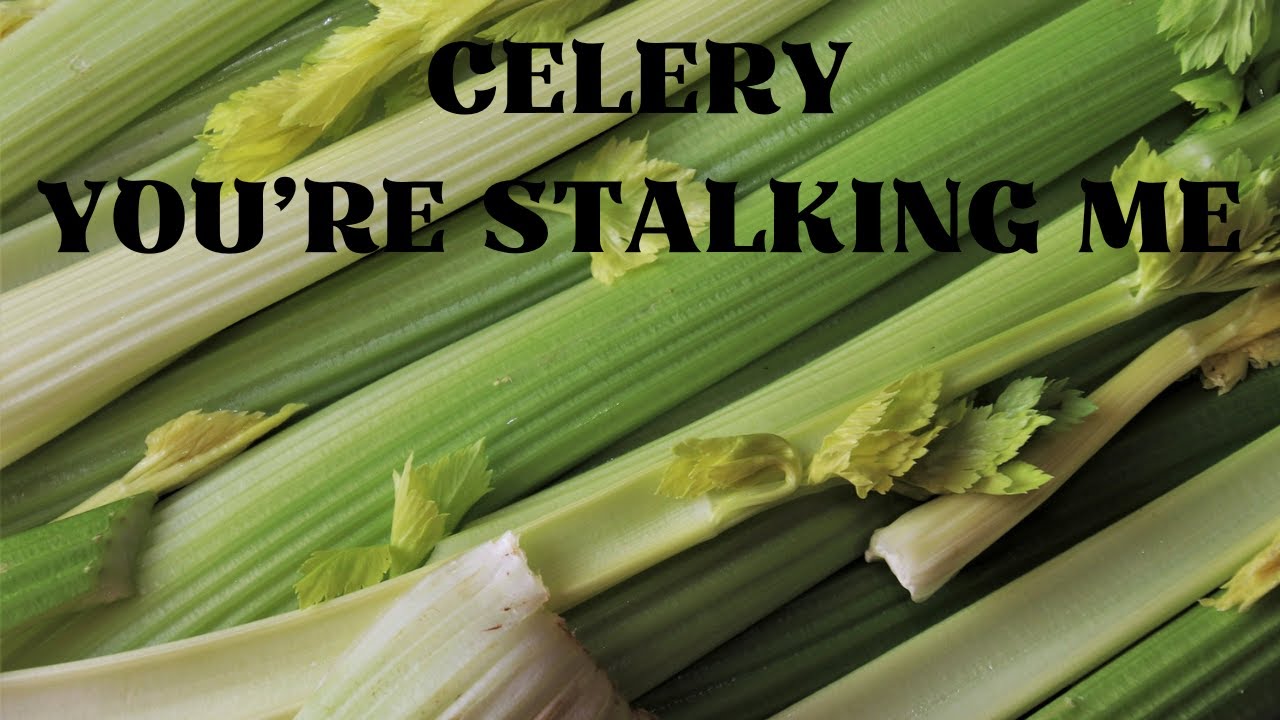 Celery - You're Stalking Me - YouTube