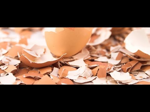 egg shell powder making process - YouTube