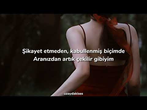 Bahadır Sağlam - Gidiyor Gibiyim sözleri/lyrics