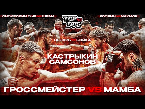 TOP DOG 40 | Гроссмейстер VS Мамба, Кастрыкин VS Самсонов, Сибирский Бык VS Шрам, Цезарь VS Бойка