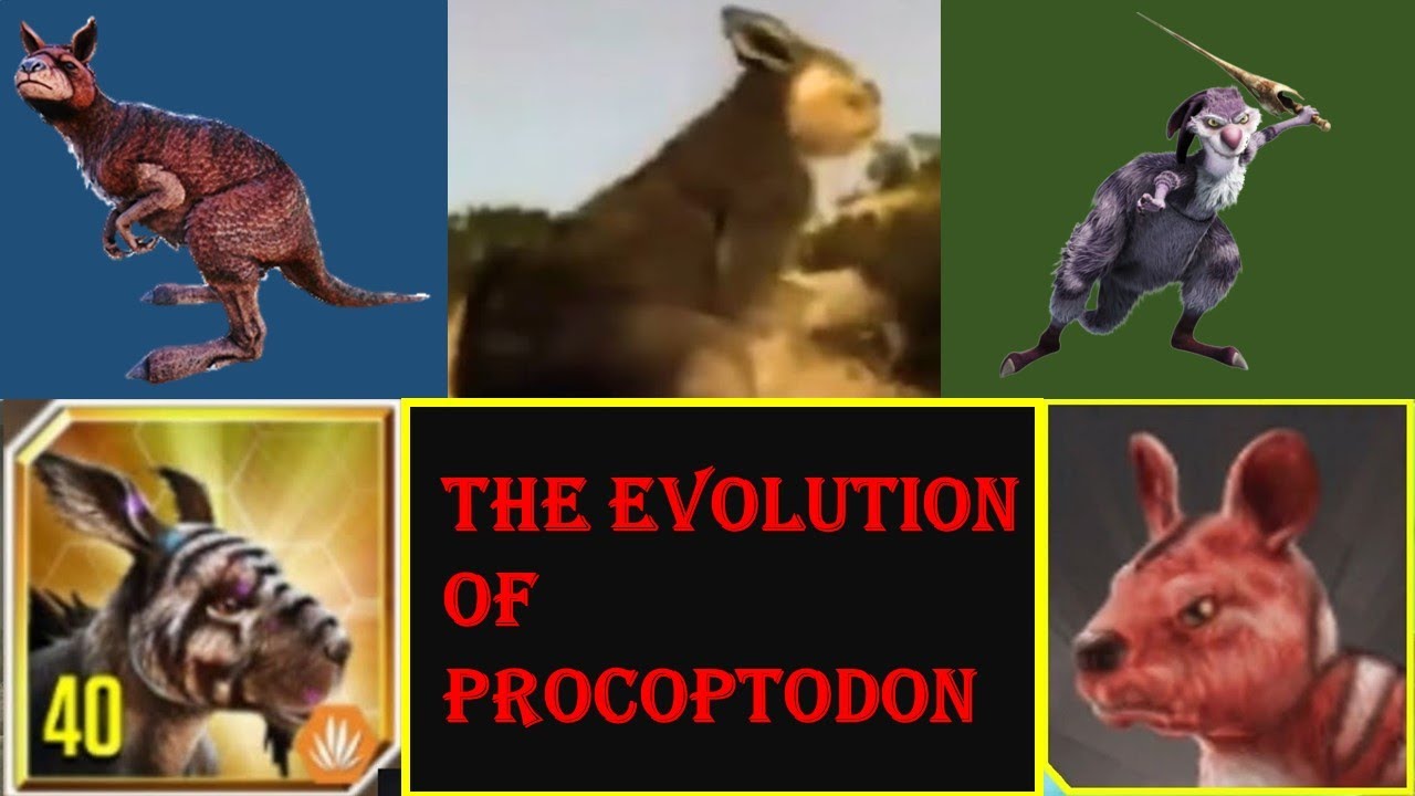 the evolution of procoptodon - YouTube