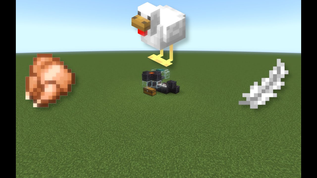 Easy Chicken Farm Tutorial 1.19 Java And Bedrock - YouTube