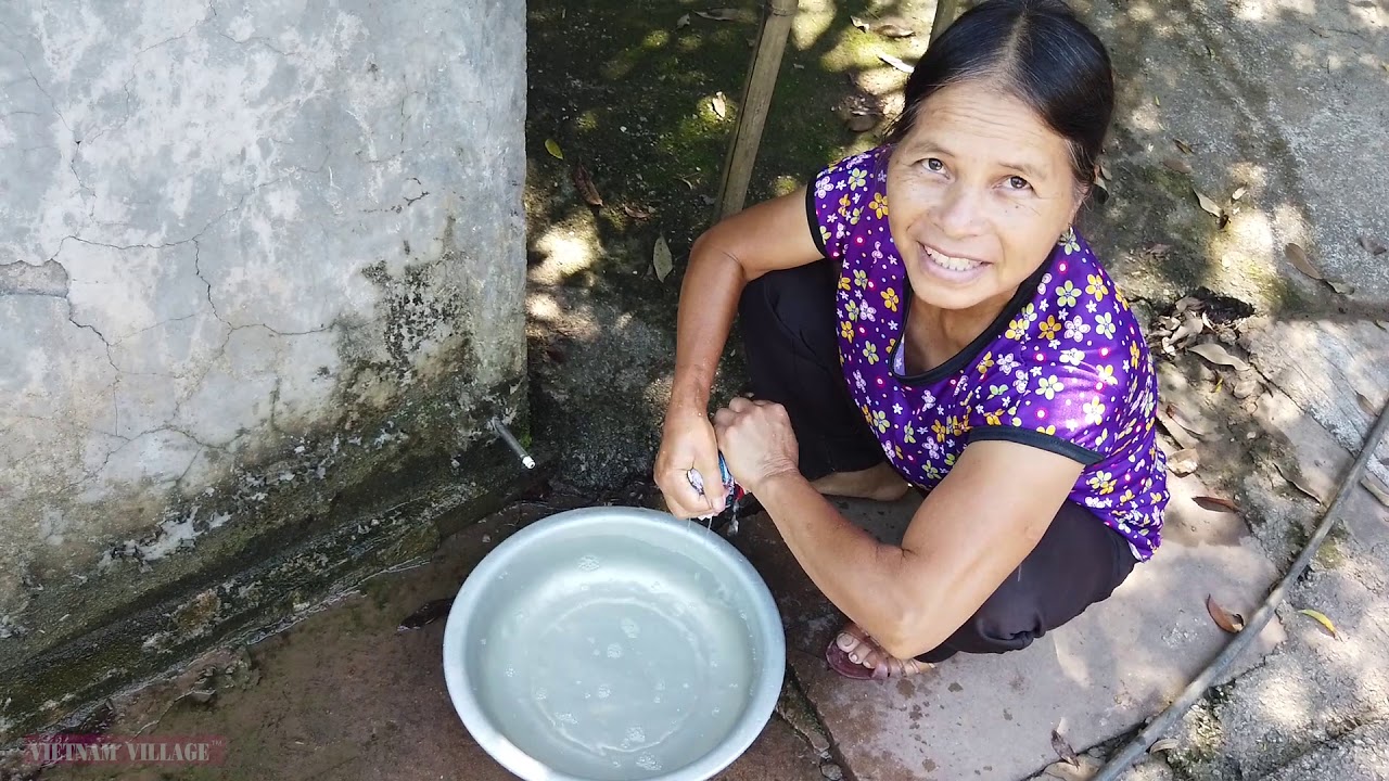 Ordinary Scenes of Rural Women | Vietnam Village - YouTube