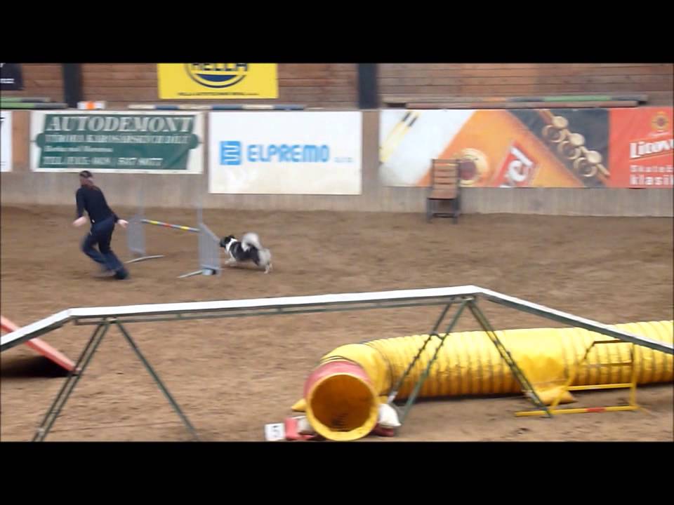 Faktor strachu 2015 - YouTube