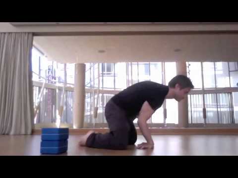 Cool Yoga Tricks: Peacock Pose Progression - YouTube