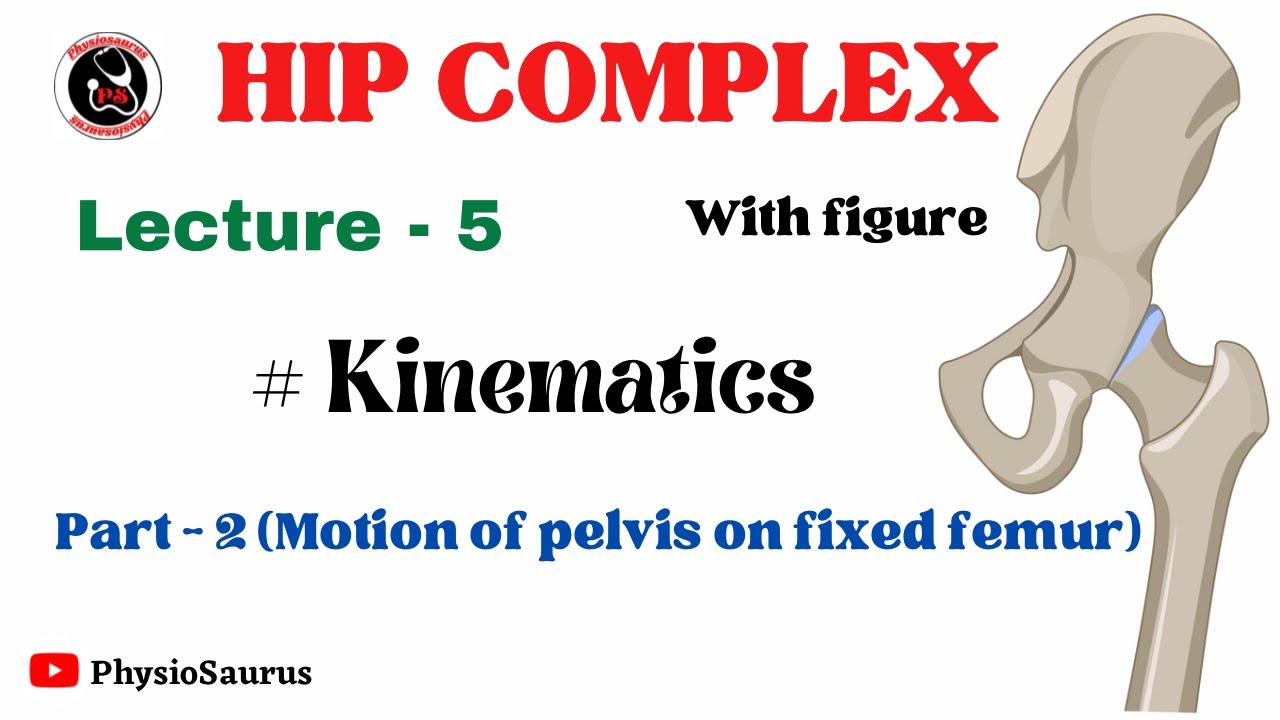 Hip complex | Kinematics | Motion of pelvis on fixed femur | With ...