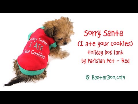 Sorry Santa Holiday Dog Tank by Parisian Pet - Red - YouTube