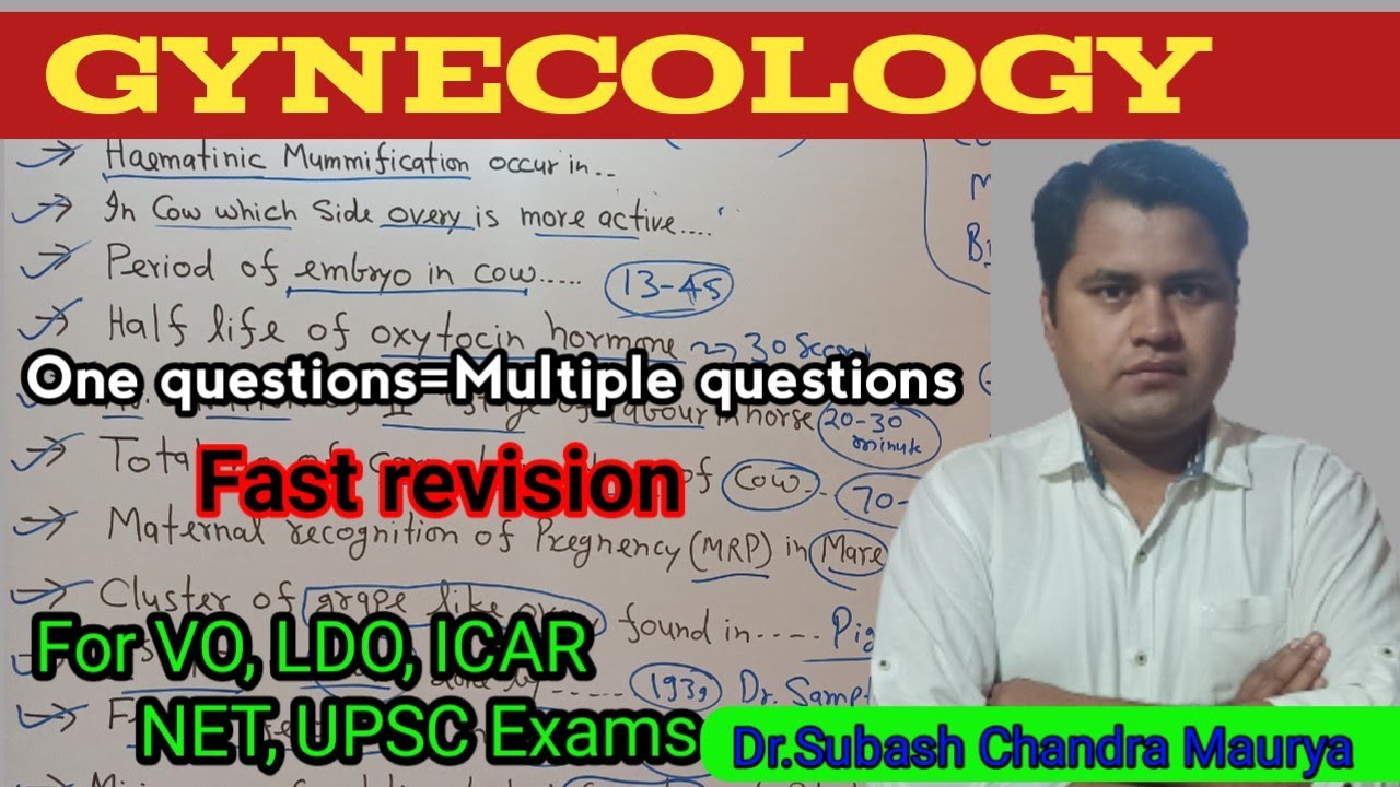 Gynecology fast revision with concepets/Veterinary Gynecology/ Crazy ...