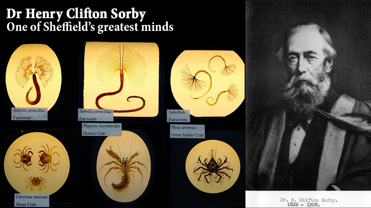 Henry Clifton Sorby One of Sheffield's greatest minds - YouTube