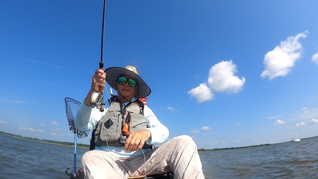 The Blind Chicken - YouTube