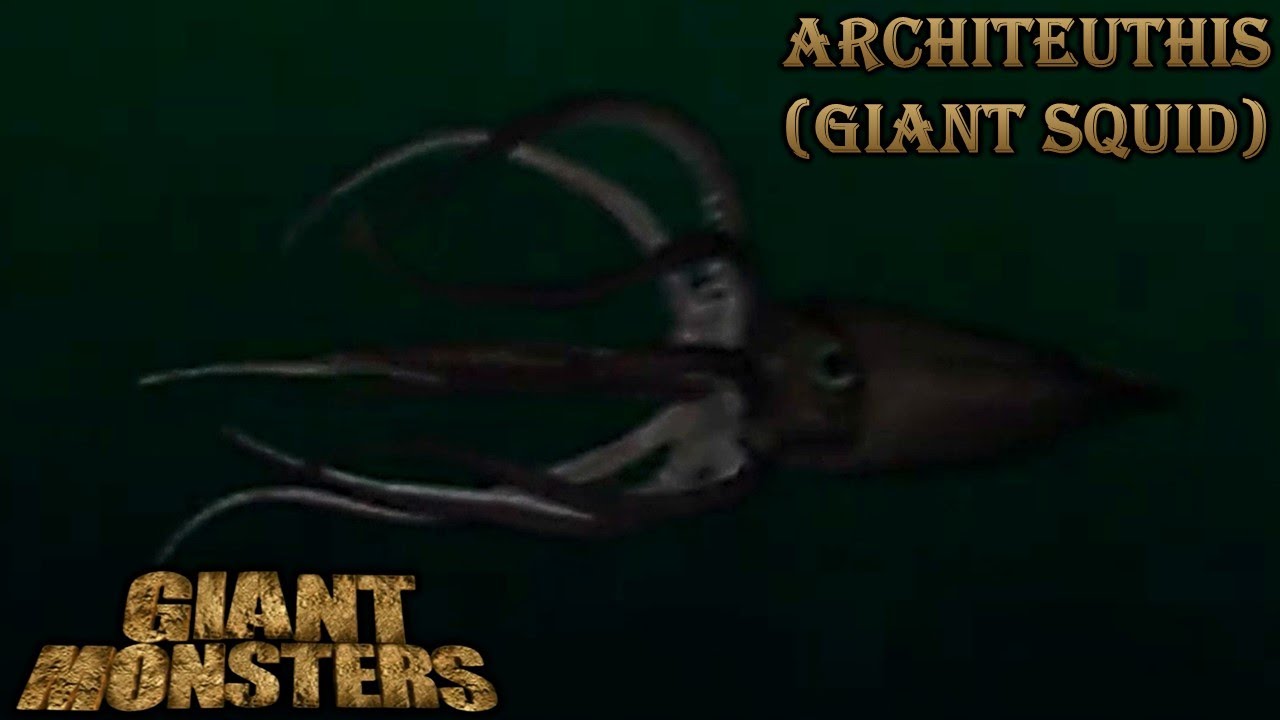animal planet giant monsters Architeuthis (giant squid) screen time ...