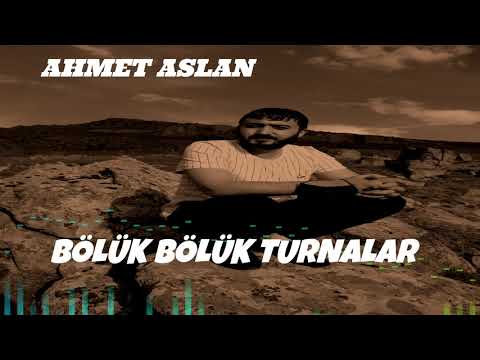 KIRŞEHİRLİ AHMET ASLAN                 BÖLÜK BÖLÜK TURNALAR BOZLAK 2021