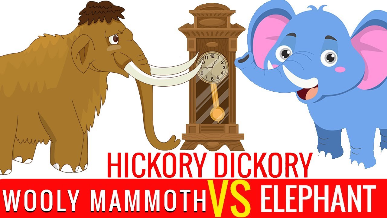 Hickory Dickory Dock Wooly Mammoth vs Elephant Song - Preschool Songs ...