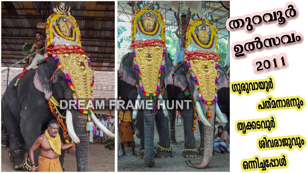 Thuravoor ulsavam 2011 | Guruvayoor Padhmanabanum Thrikadavoor ...