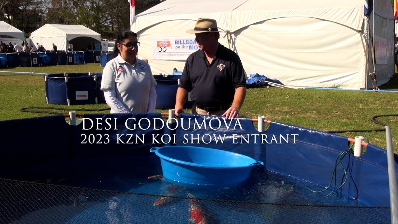 Meet this talented Woman Koi Keeper Competing in the Prestigious 2023 ...