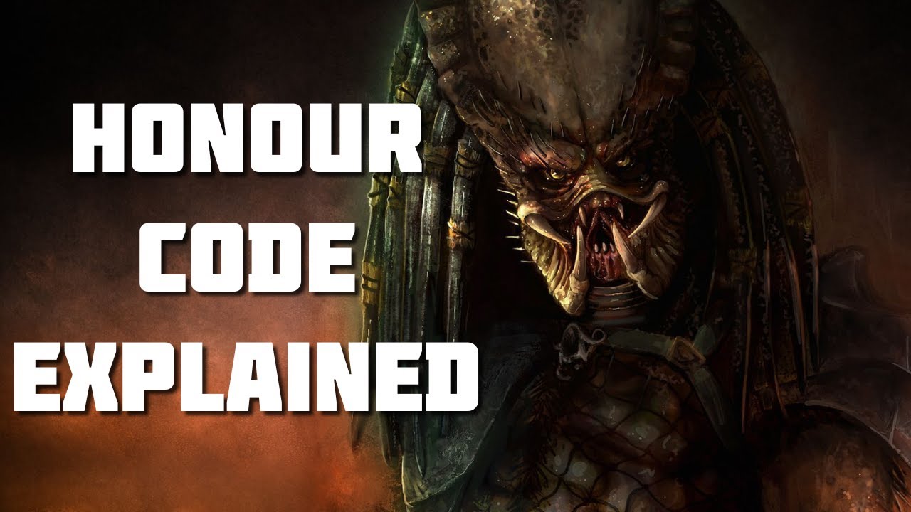 Why Are Predators So Honourable? - YouTube